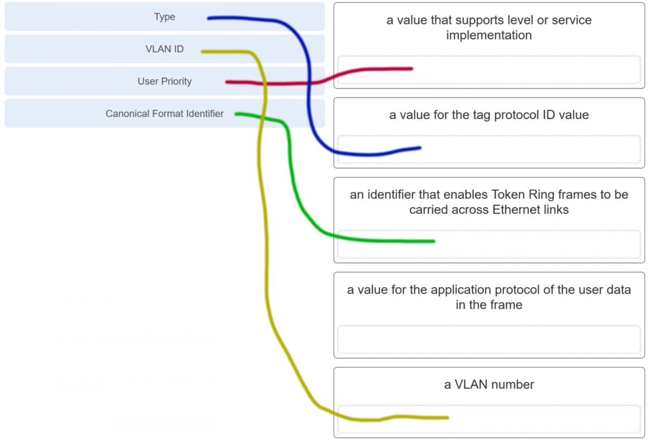 ccna 1 v7 modules 11 13