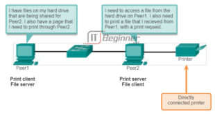 Introduction to Networks Instructor Materials - Chapter 10: Application ...