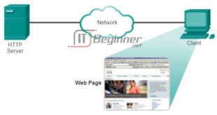 Introduction to Networks Instructor Materials - Chapter 10: Application ...